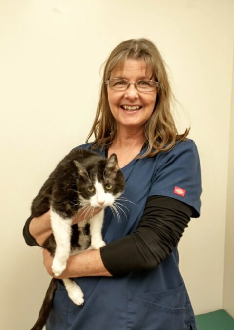 Veterinarian In Hart, MI 49420 | Hart Animal Clinic