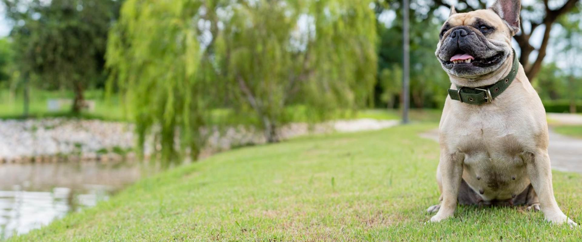 Hart Animal Clinic FAQs